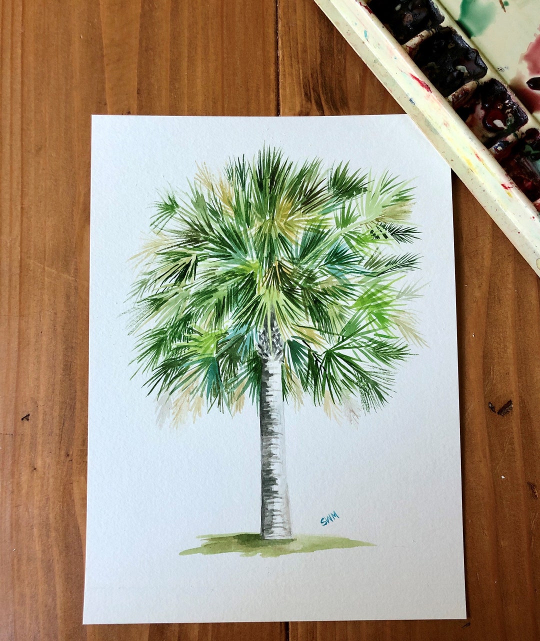 Watercolor State Tree of South Carolina, State Tree of Florida -sabal ...