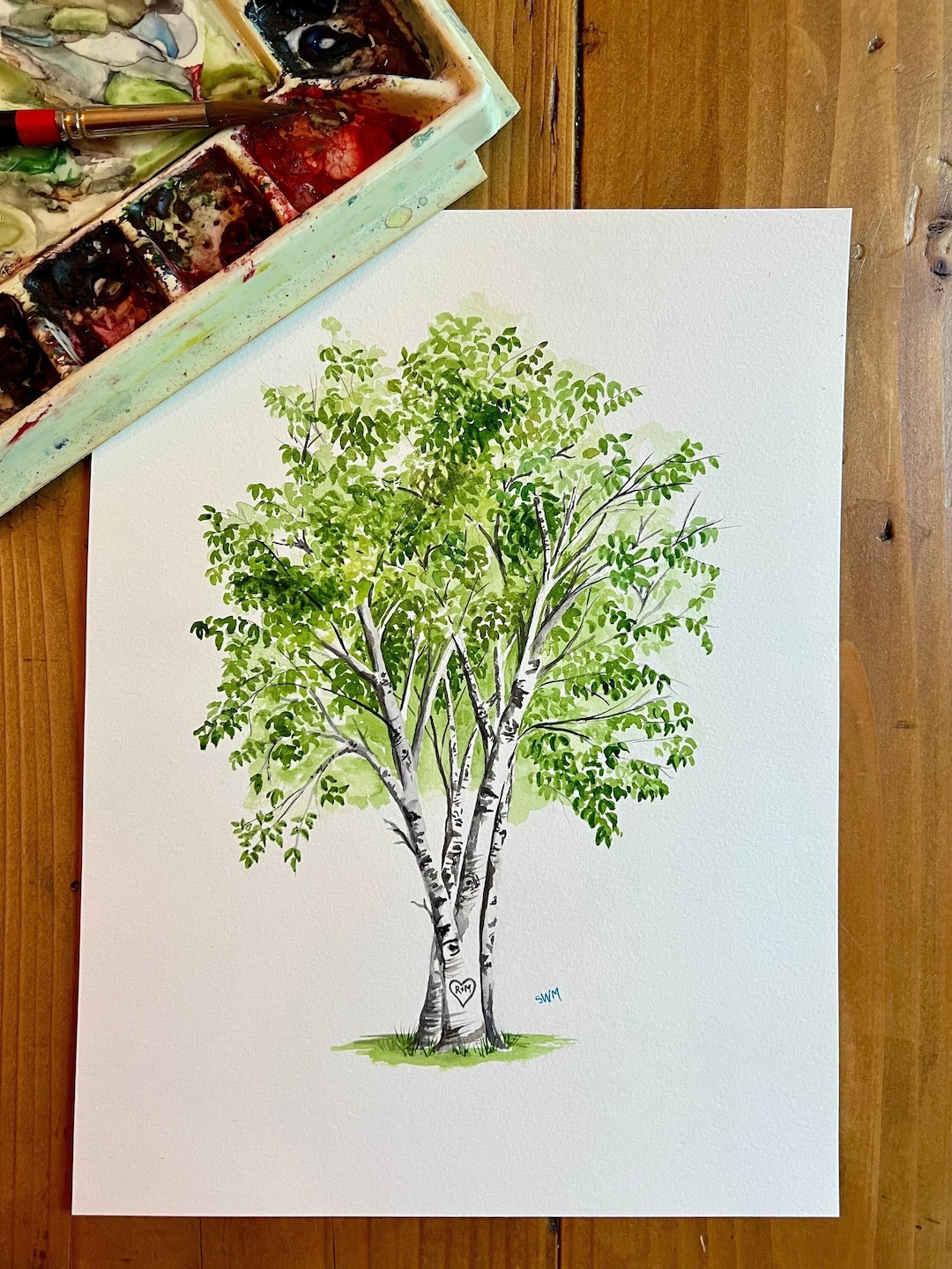 New Hampshire State Tree/ White Birch/ Custom Gift/ Fine Art Print ...