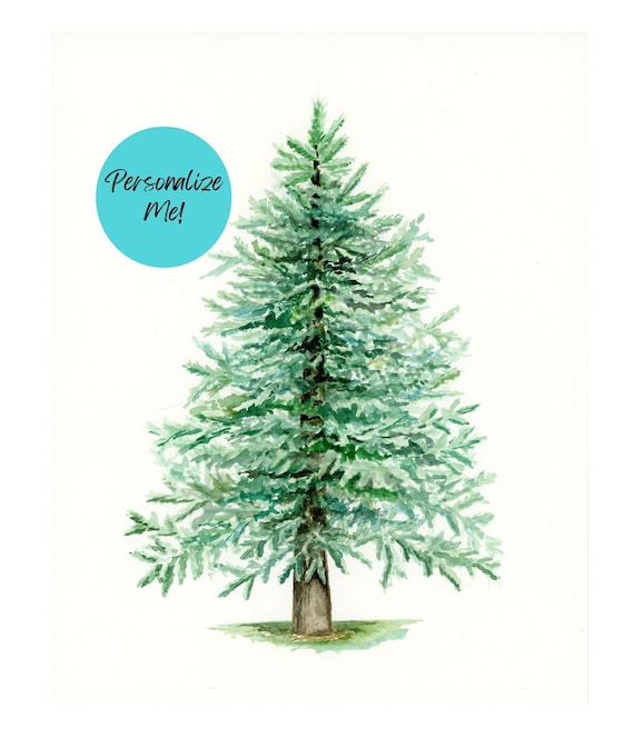 Blue Spruce Tree Sketch