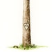 Alabama State Tree/longleaf Pine/custom Gift/ Fine Art Print/ Great ...