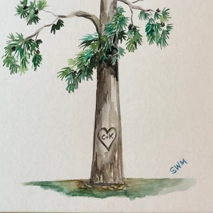 Minnesota State Tree, Norway Pine/red Pine, Custom Gift, Fine Art Print ...