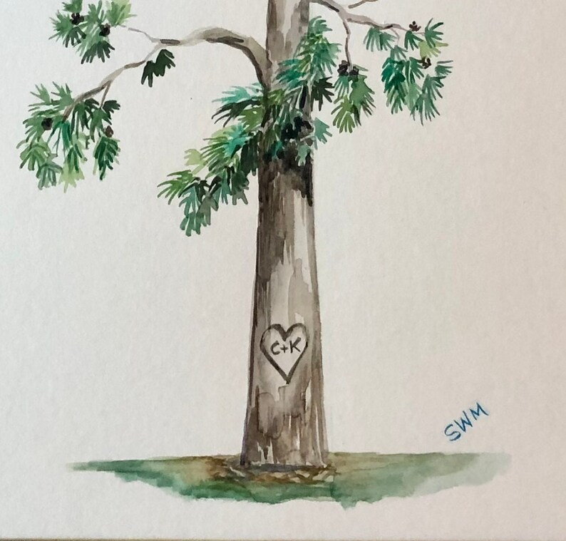 Minnesota State Tree, Norway Pine/red Pine, Custom Gift, Fine Art Print ...