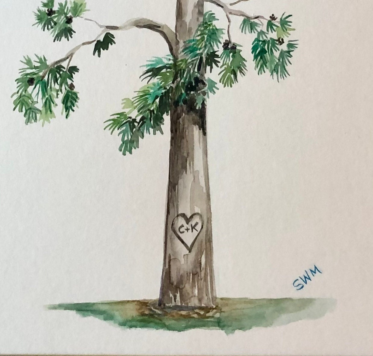 Minnesota State Tree, Norway Pine/red Pine, Custom Gift, Fine Art Print ...