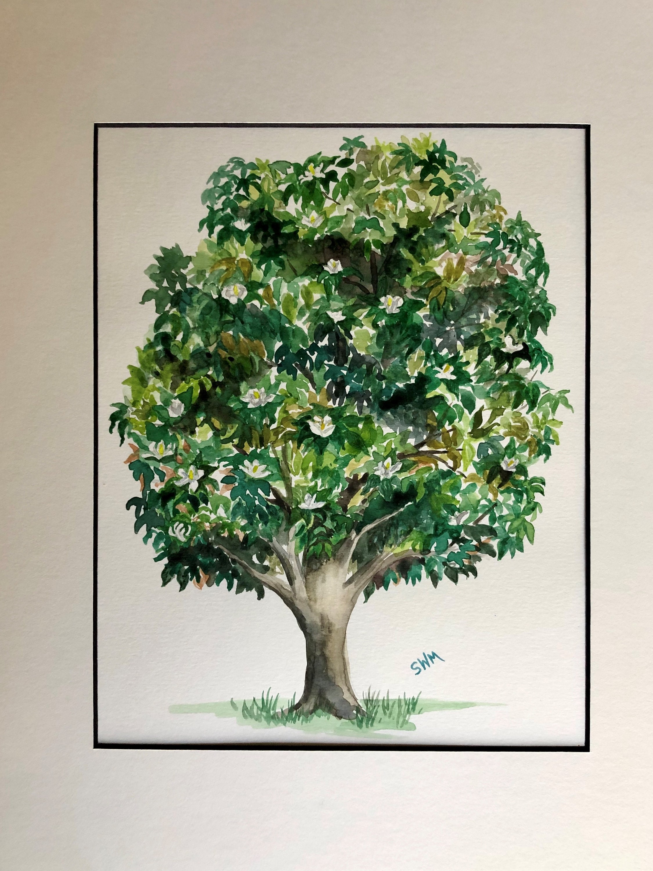 State Tree of Mississippi, Southern Magnolia, Original Watercolor ...