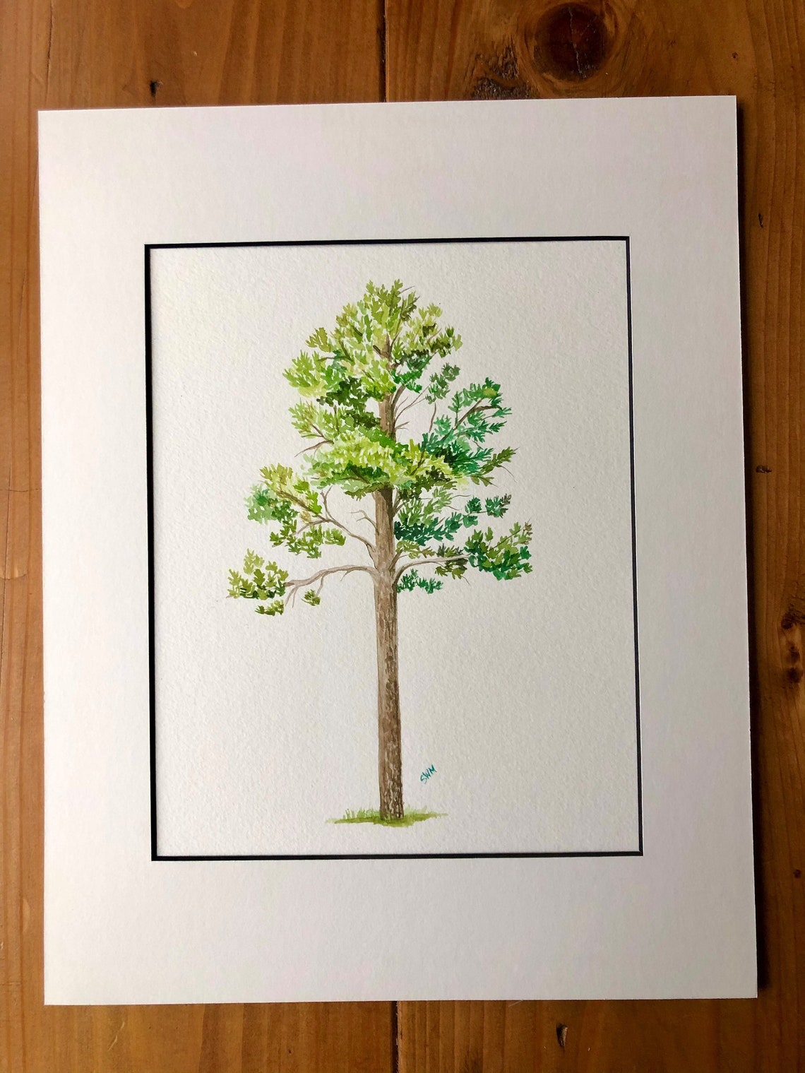 State Tree of Alabama Southern Longleaf Pine Original Art - Etsy