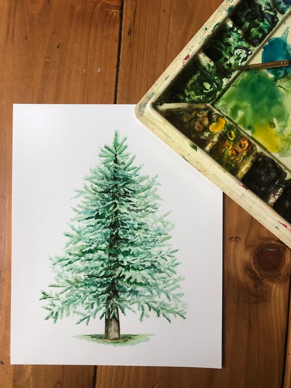 Blue Spruce Tree Sketch