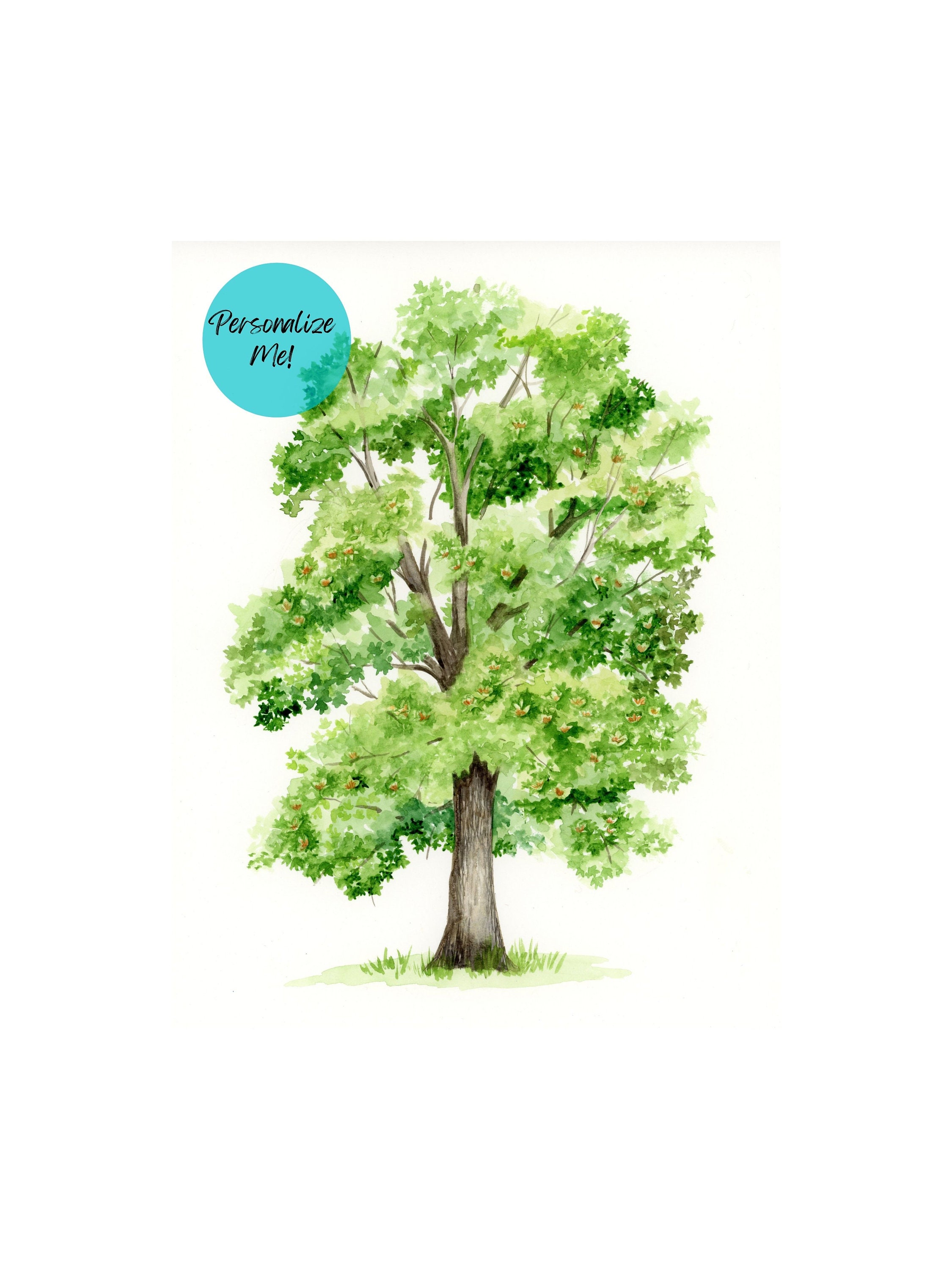 Tulip Poplar/ Custom Gift/ State Tree of Indiana, Kentucky and ...