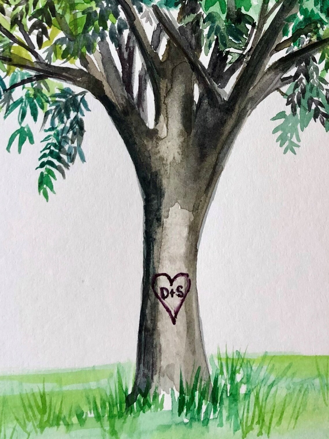 Watercolor State Tree of Texas Pecan Tree Original Not - Etsy