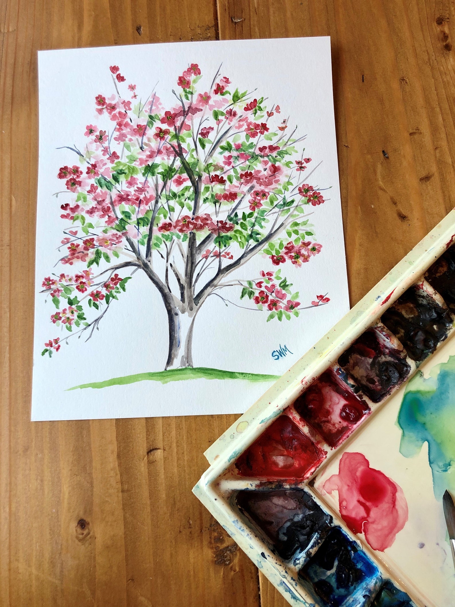 Watercolor State Tree of Virginia, State Tree of Missouri, Flowering ...