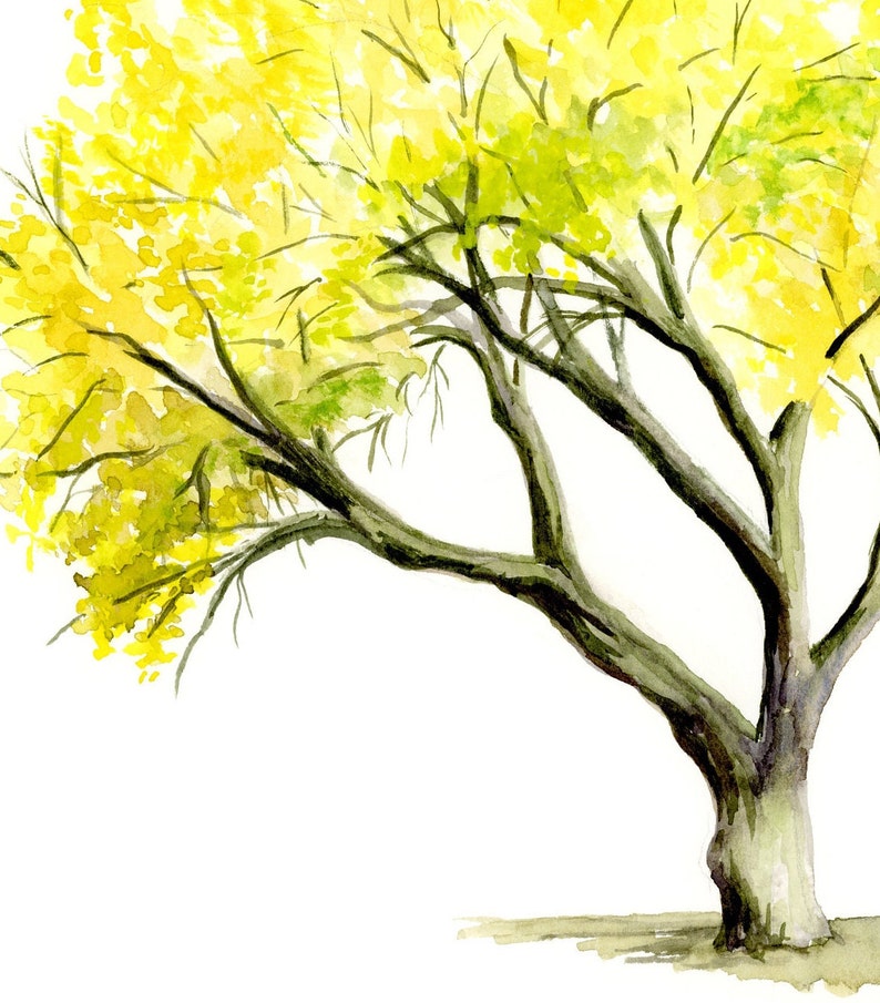 Arizona State Tree/palo Verde /custom Gift/ Fine Art Print/ Great Gift ...