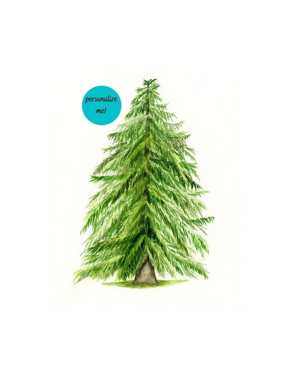 Western Hemlock Tree Drawing