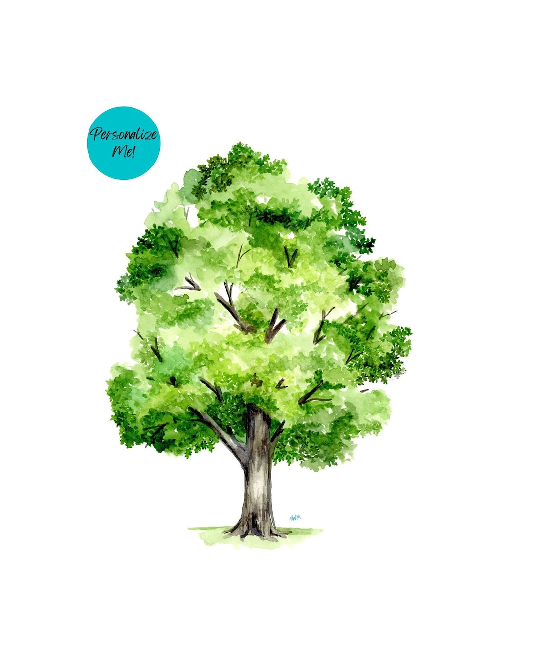 White Oak Tree Giclee Print - State Tree of Connecticut, Illinois ...
