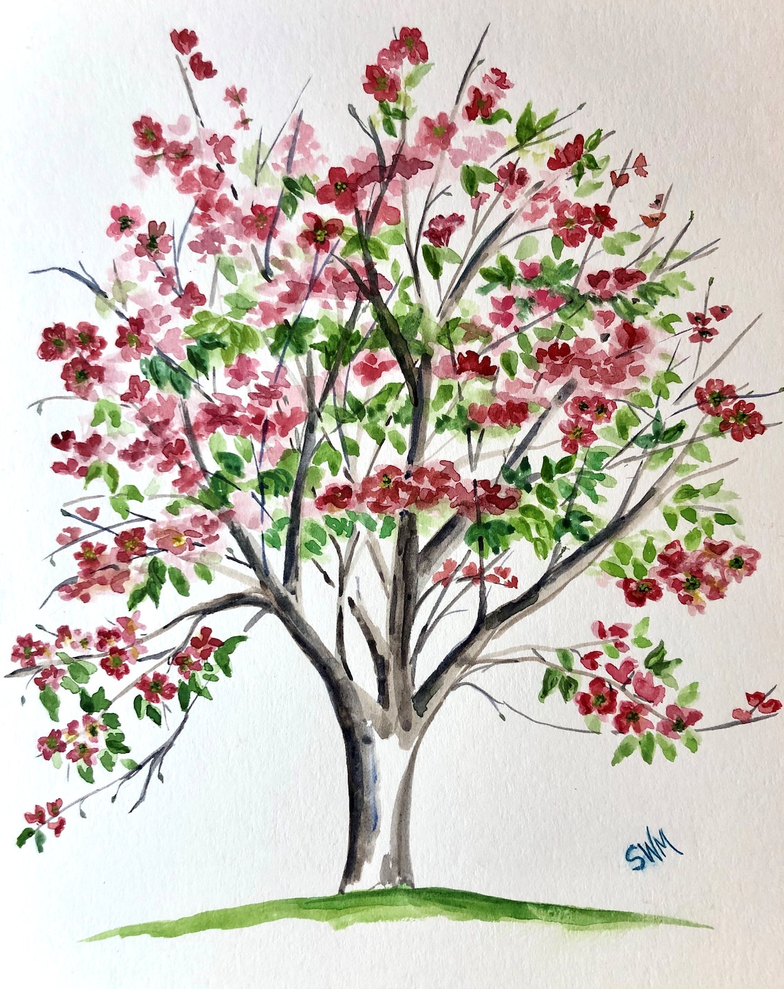 Watercolor State Tree of Virginia, State Tree of Missouri, Flowering ...