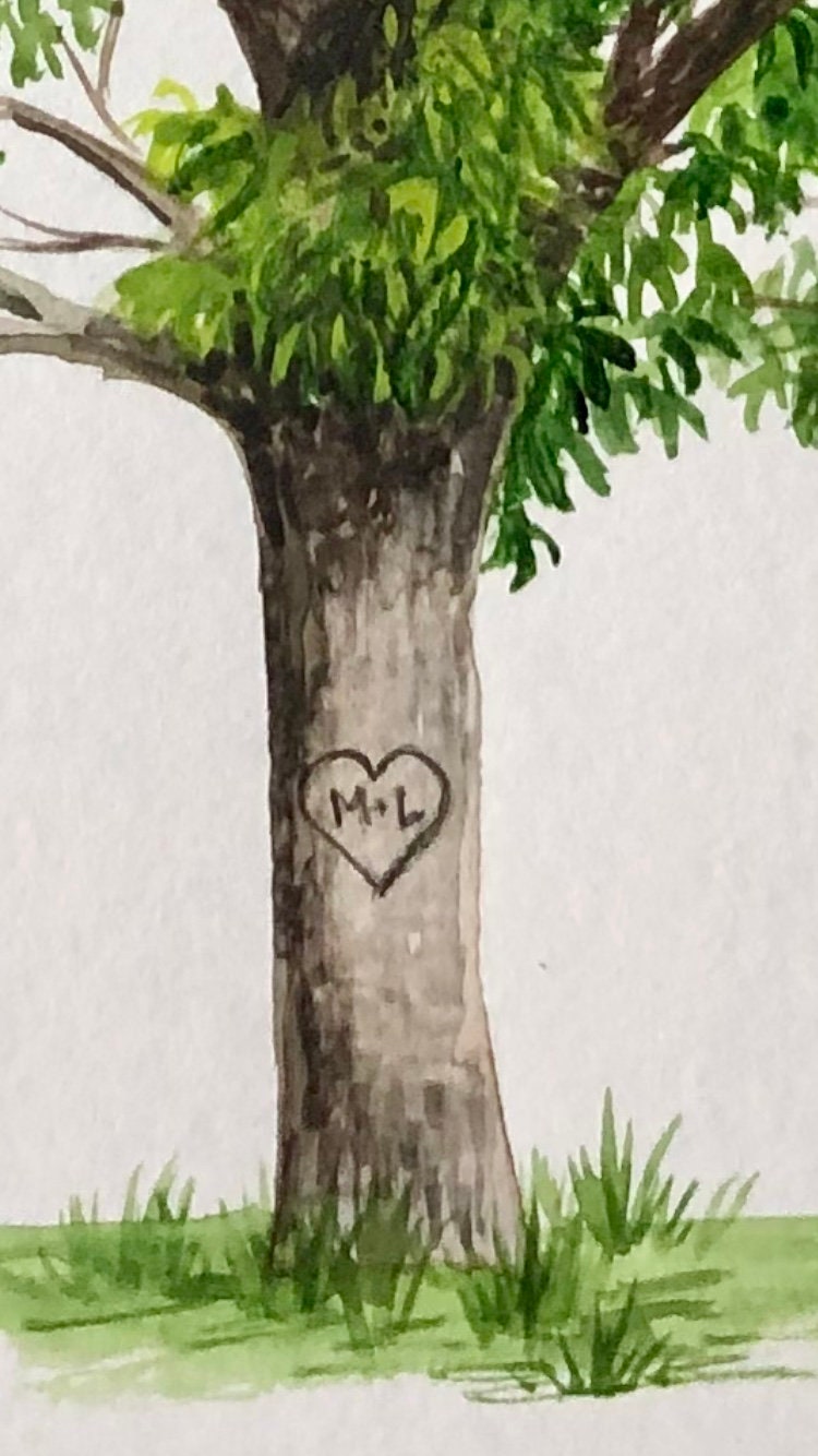 Texas State Tree/ Pecan Tree/custom Gift/ Fine Art Print/ Great Gift ...