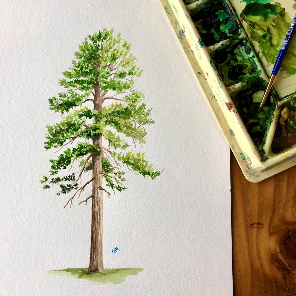 State Tree of Montana Ponderosa Pine Original Art Custom - Etsy