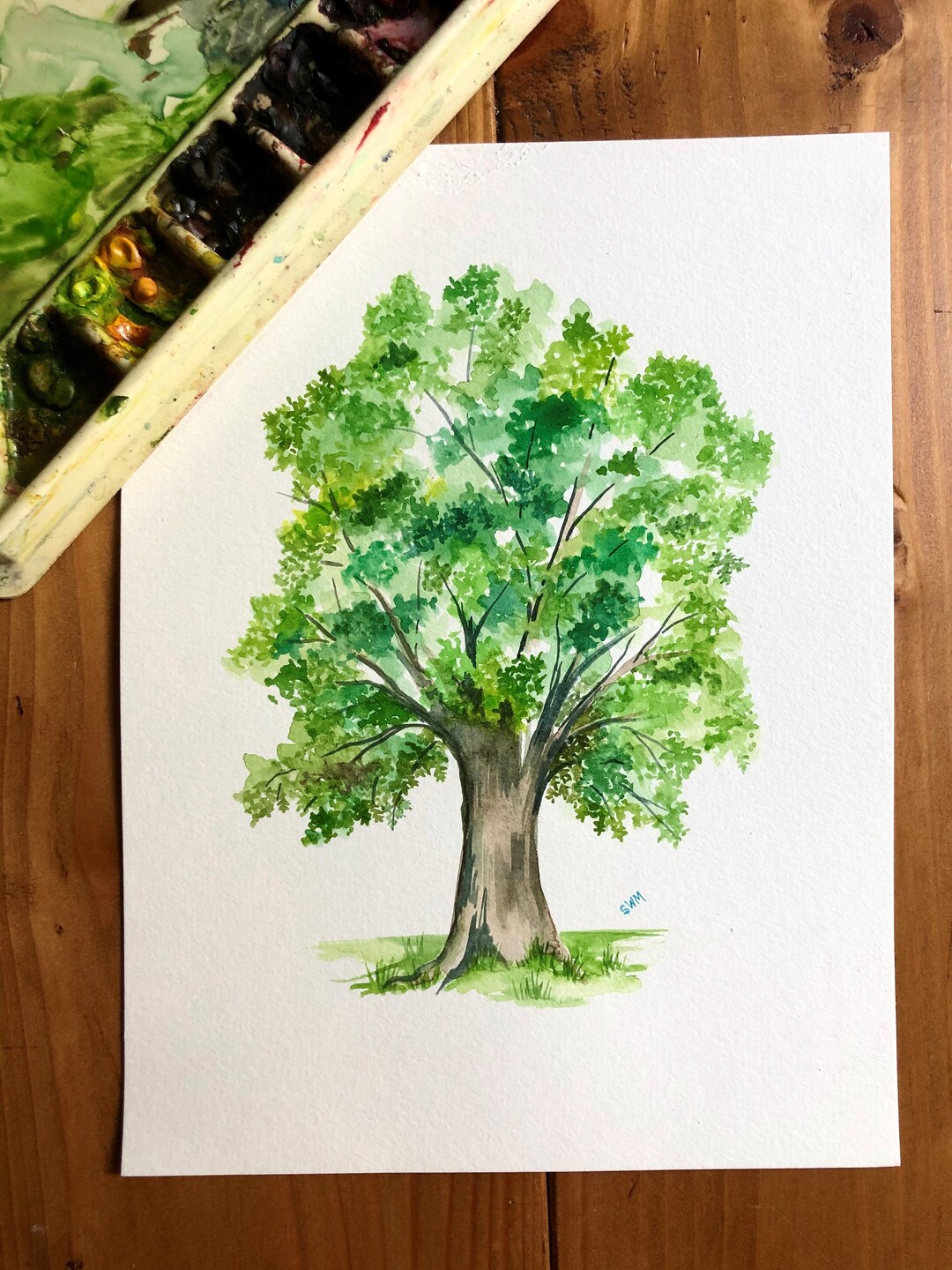 Watercolor State Tree of Iowa, Oak Tree, Original Art, Custom Gift ...