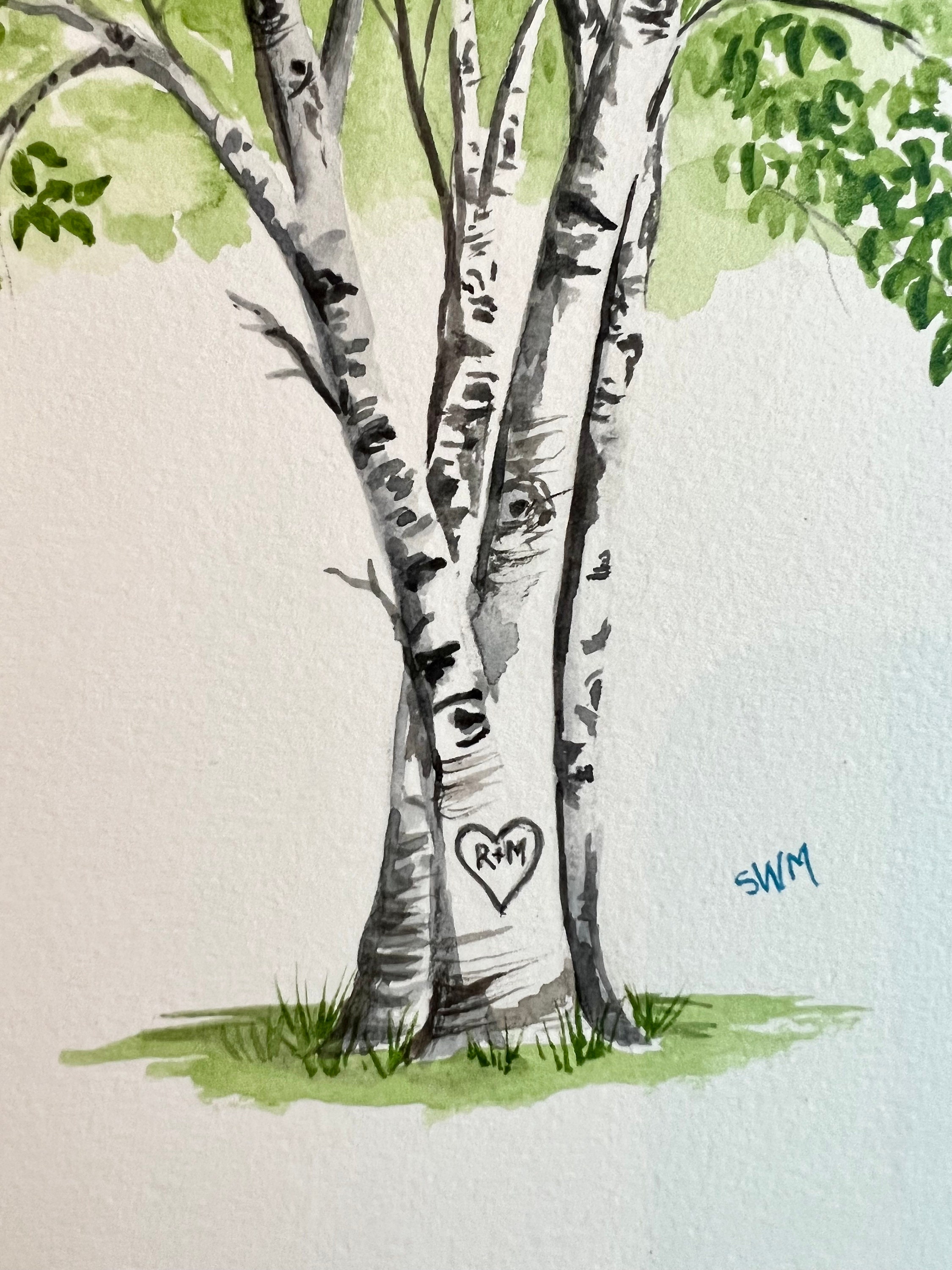 New Hampshire State Tree/ White Birch/ Custom Gift/ Fine Art - Etsy