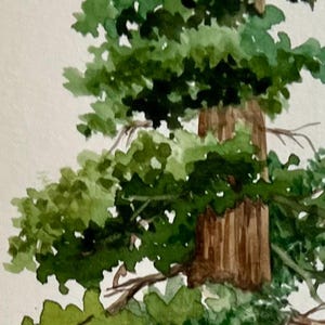 California State Tree/ Great Sequoia /custom Gift/ Fine Art Print ...