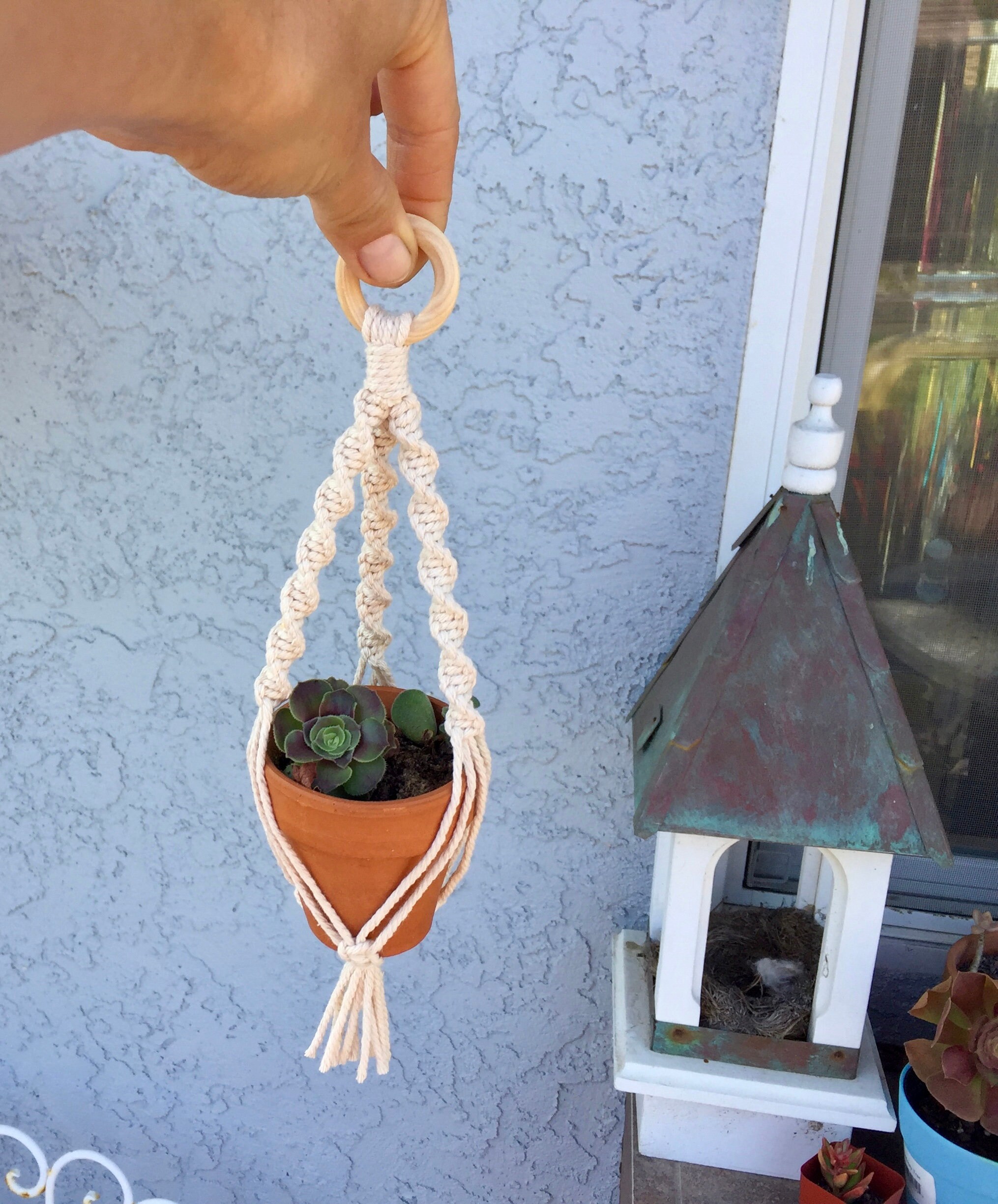 Small Macrame Plant Hanger | Etsy