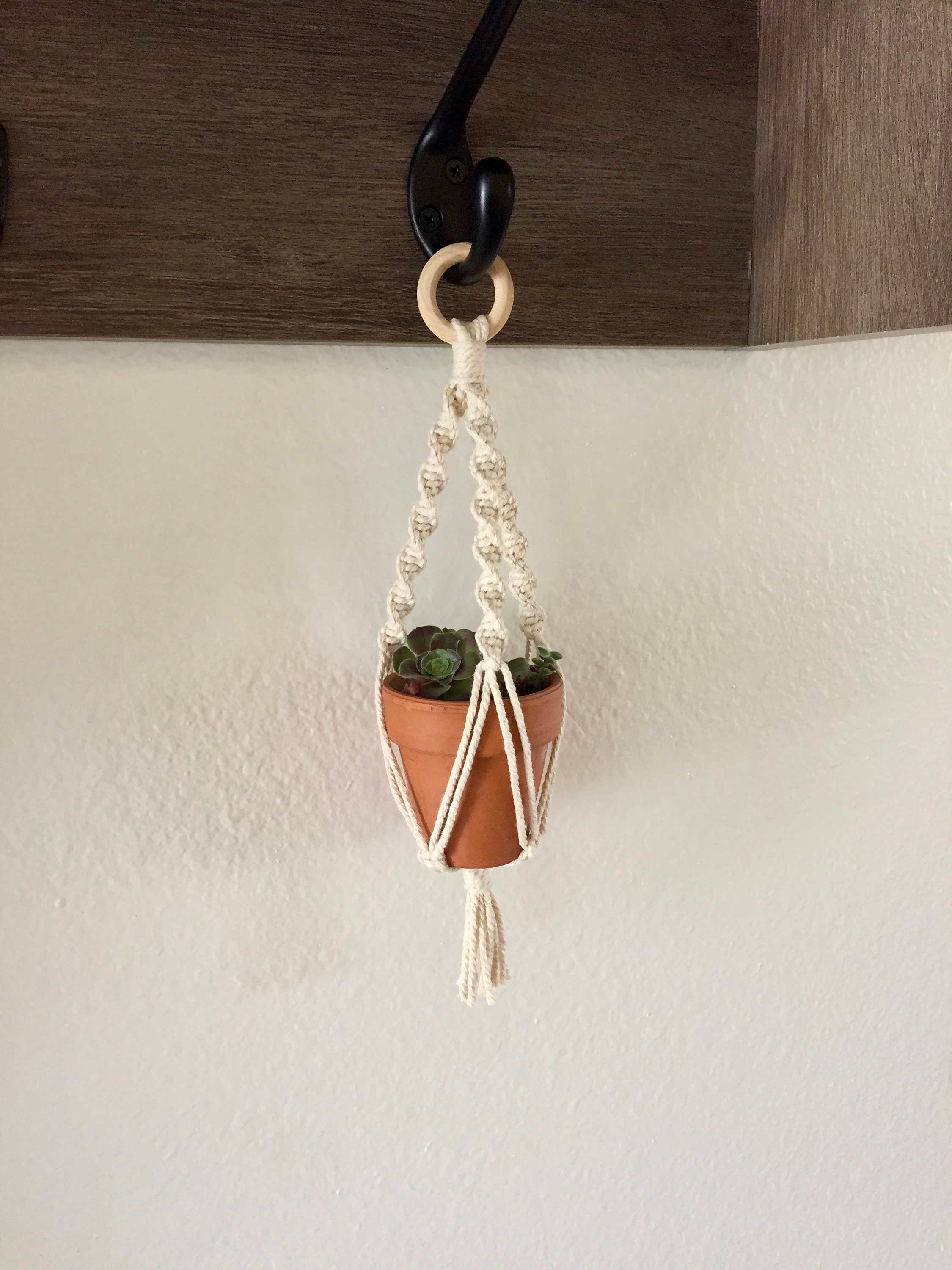 Small Macrame Plant Hanger | Etsy