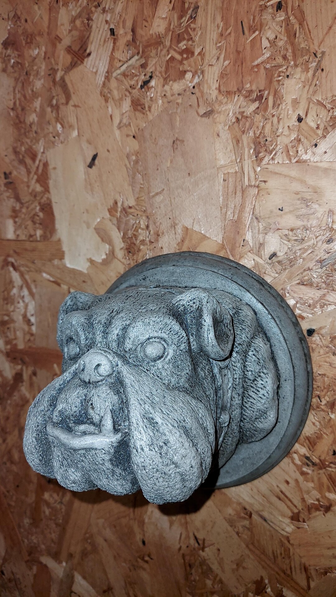 Wall Mounted Small Bulldog Bust Cast Stone - Etsy