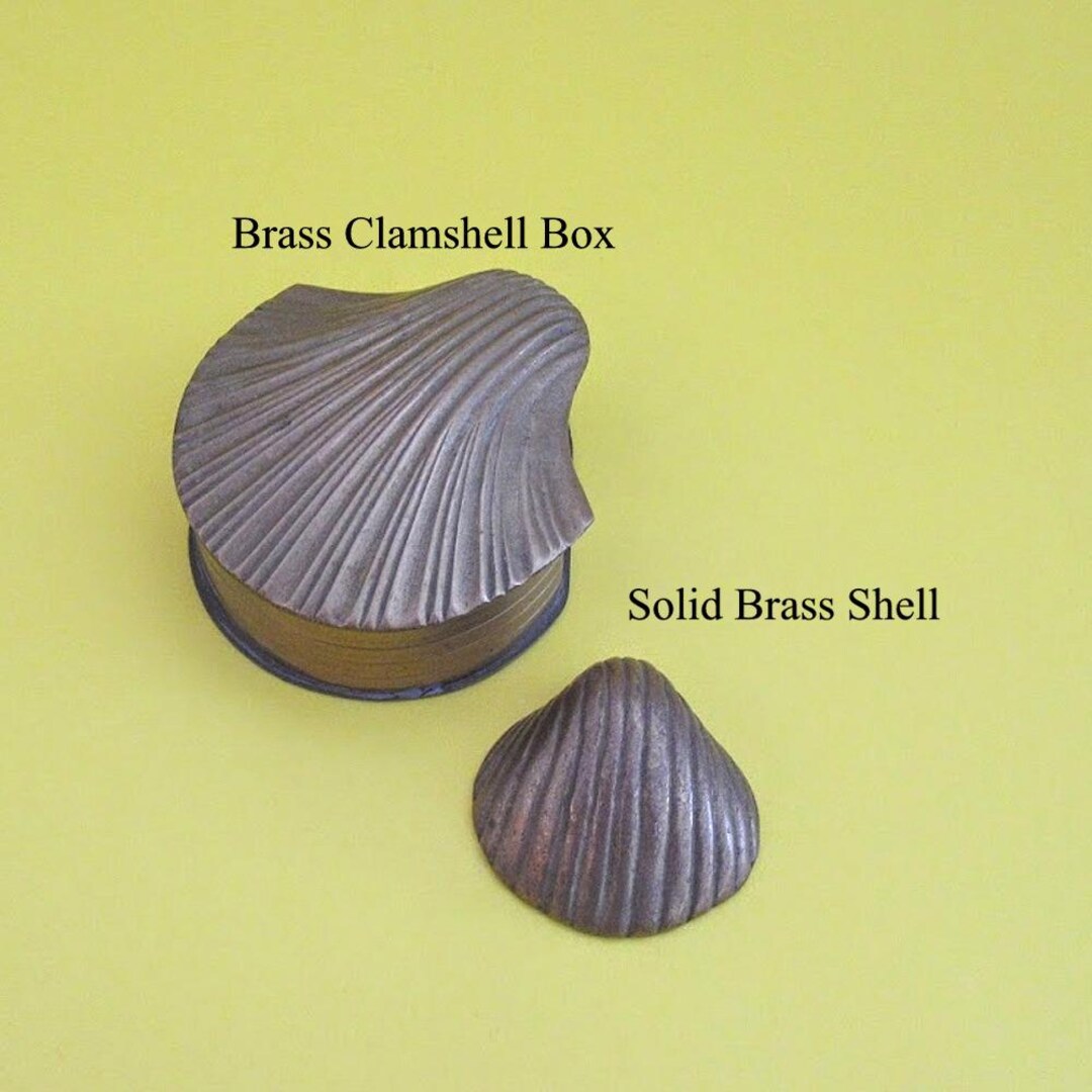 Brass Clamshell Shaped Trinket Box With Solid Brass Shell - Hinged ...