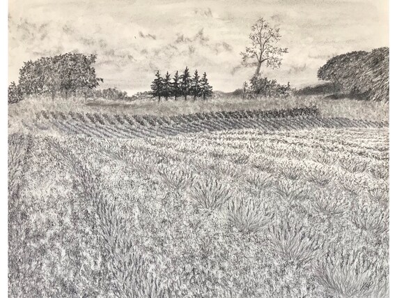 Lavender Field Original Charcoal Landscape Drawing - Etsy