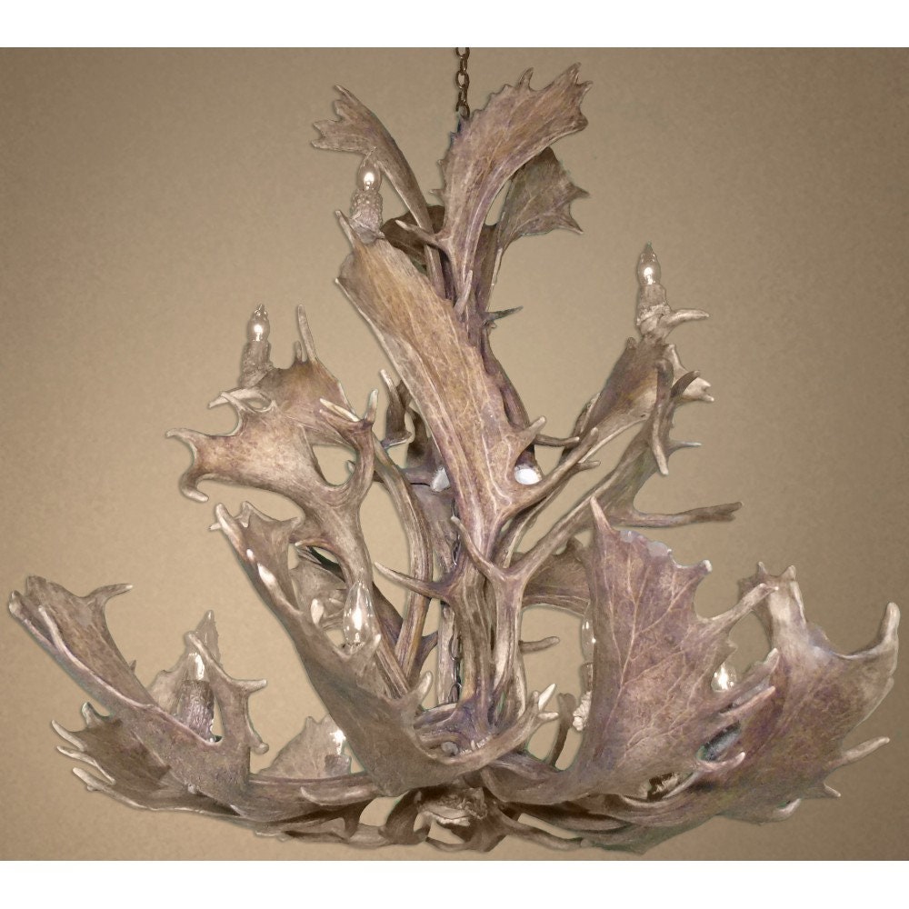 FCC Dakota Real Antler Fallow Cascading Chandelier - Etsy Canada
