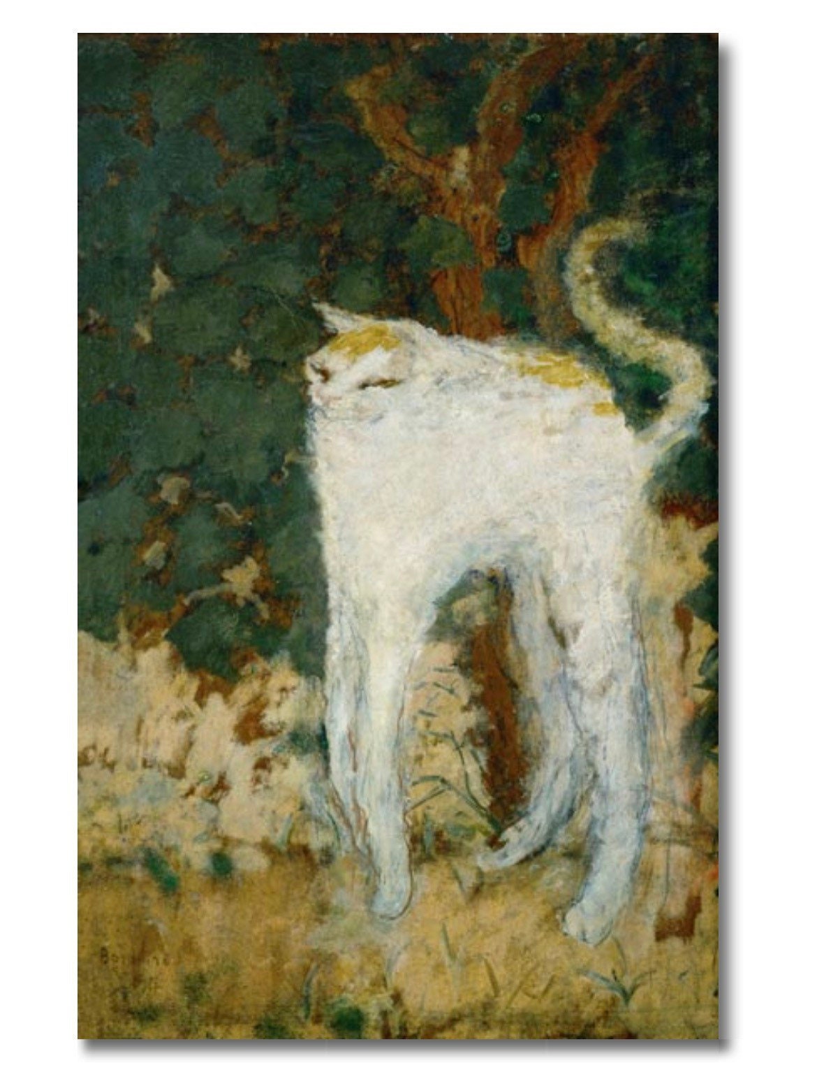 Le Chat Blanc Pierre Bonnard Canvas Wall Art Midcentury Vintage Hanging ...