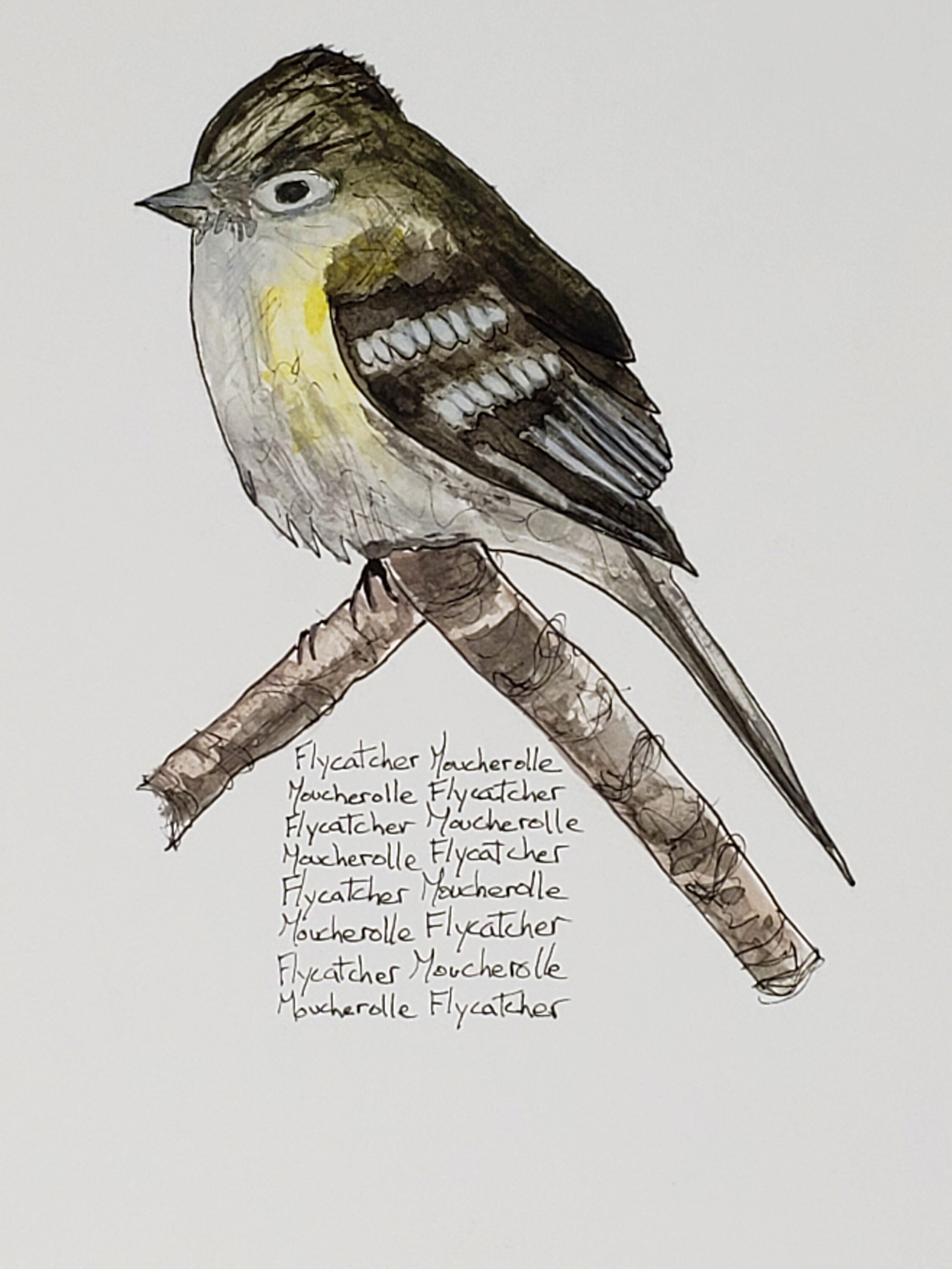 Original Bird Art, Bird Illustration, Bird Decor, Original Bird ...