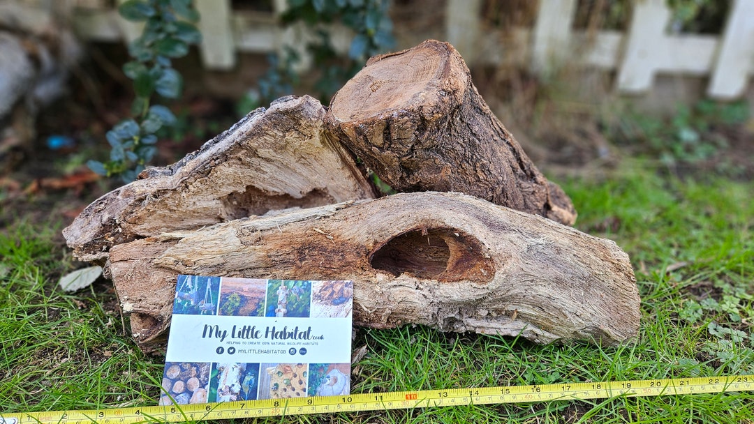 Trio of Garden Feature Logs natural Sculpture, Pond, Garden, Habitat ...