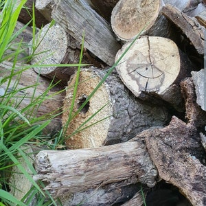 Log Pile Habitat Wood Pack | Environment, Natural, Garden, Wildlife ...
