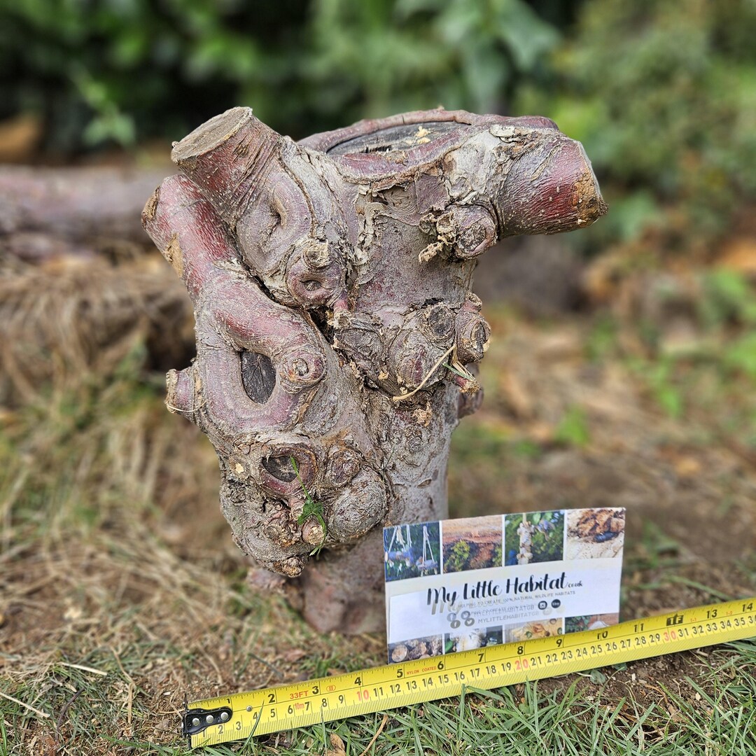 Garden Feature Log natural Sculpture, Pond, Garden, Habitat ...