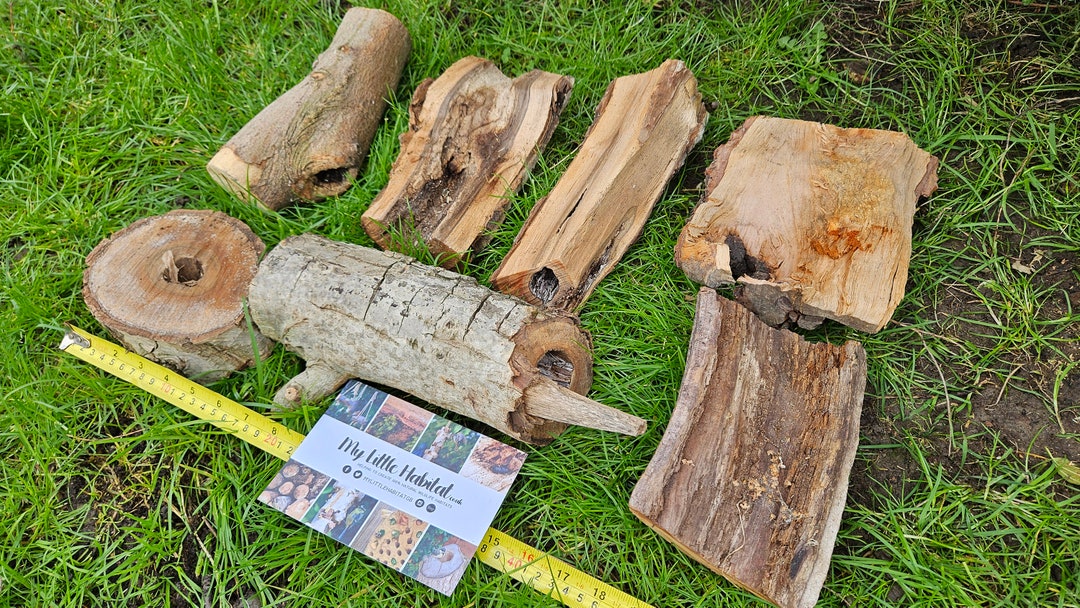Garden Feature Log Selection Box natural Sculpture, Pond, Habitat ...