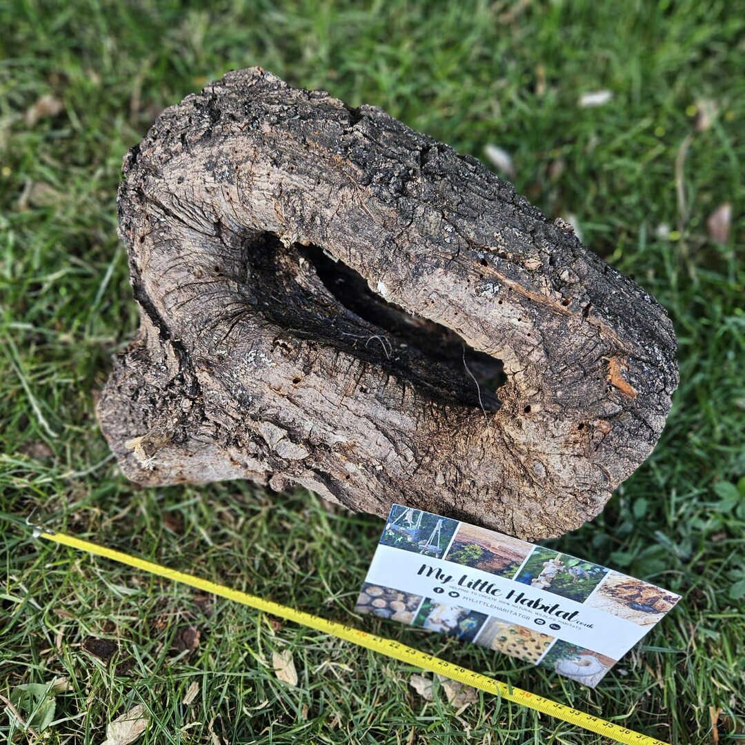 Garden Feature Log (natural Sculpture, Pond, Garden, Habitat ...