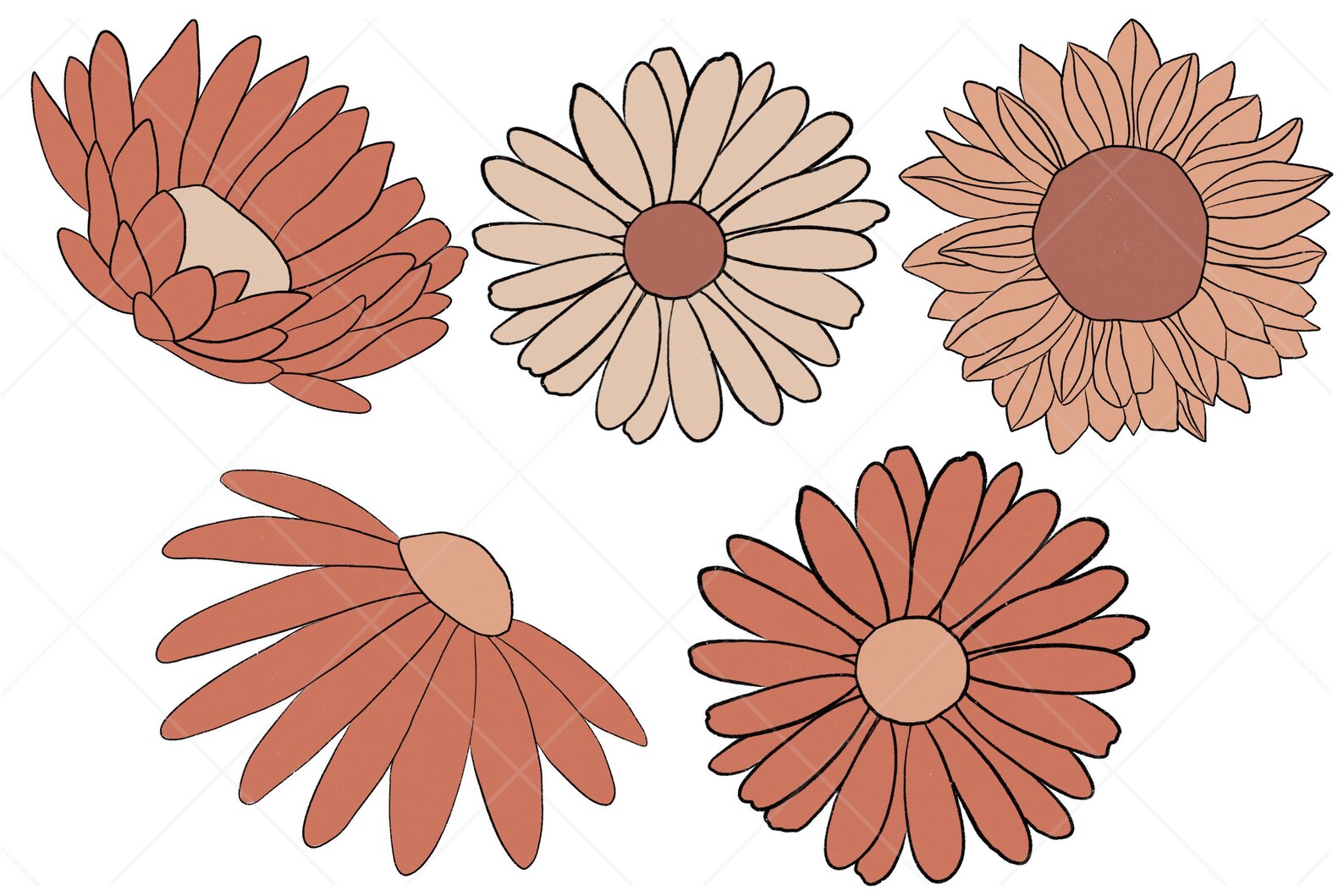 Wildflower Clipart, Boho Flowers Clipart, Coral Flower Clipart, Boho ...