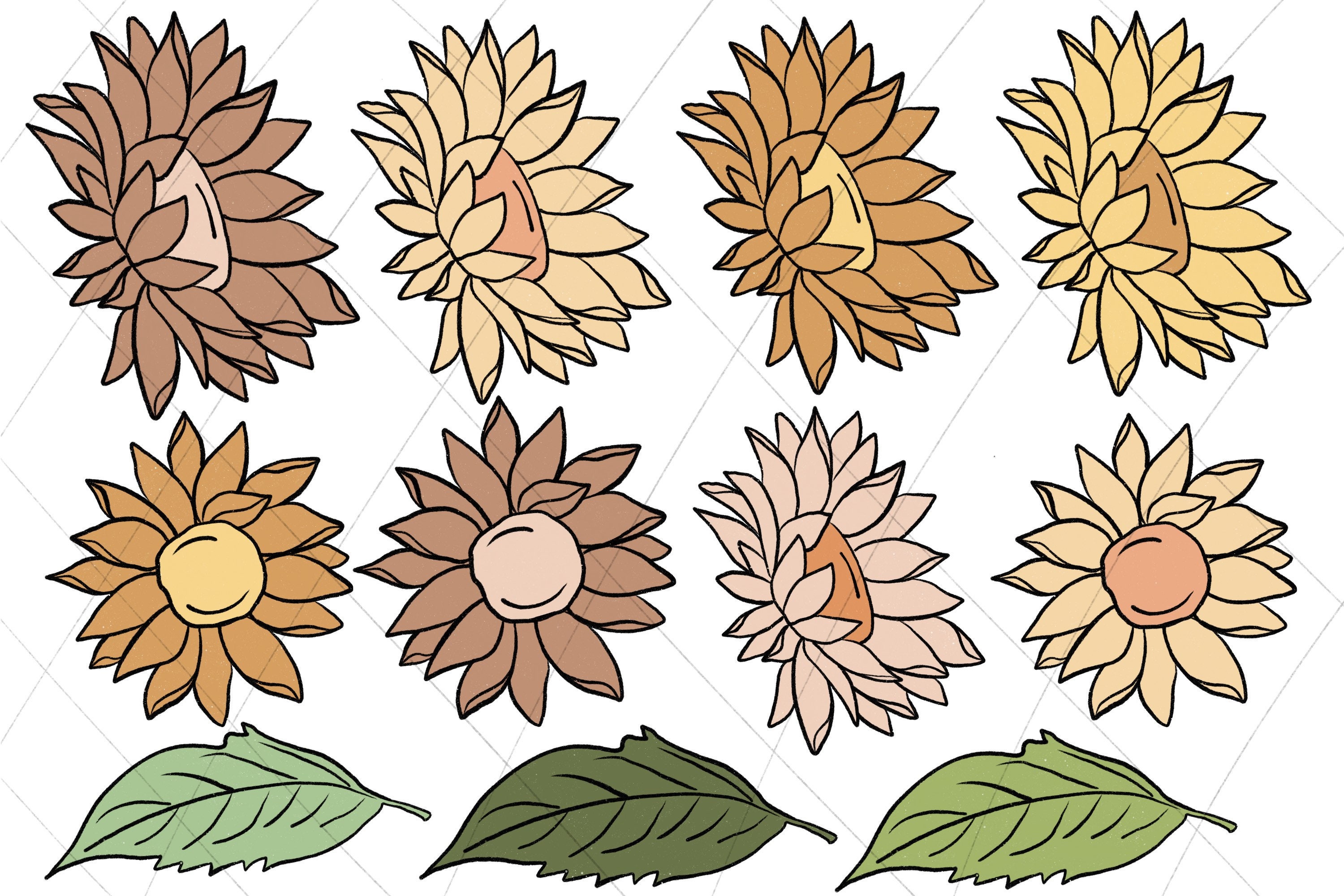 Sunflower Clipart, Summer Clipart, Boho Florals Clipart, Fall Flower ...