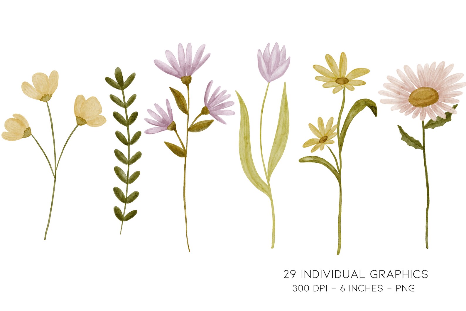 Spring Clipart, Wildflower Clipart, Daisy Clipart, Simple Flower ...