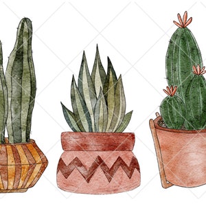 Watercolor Cactus Clipart, Potted Plants Clipart, House Plants Clipart ...