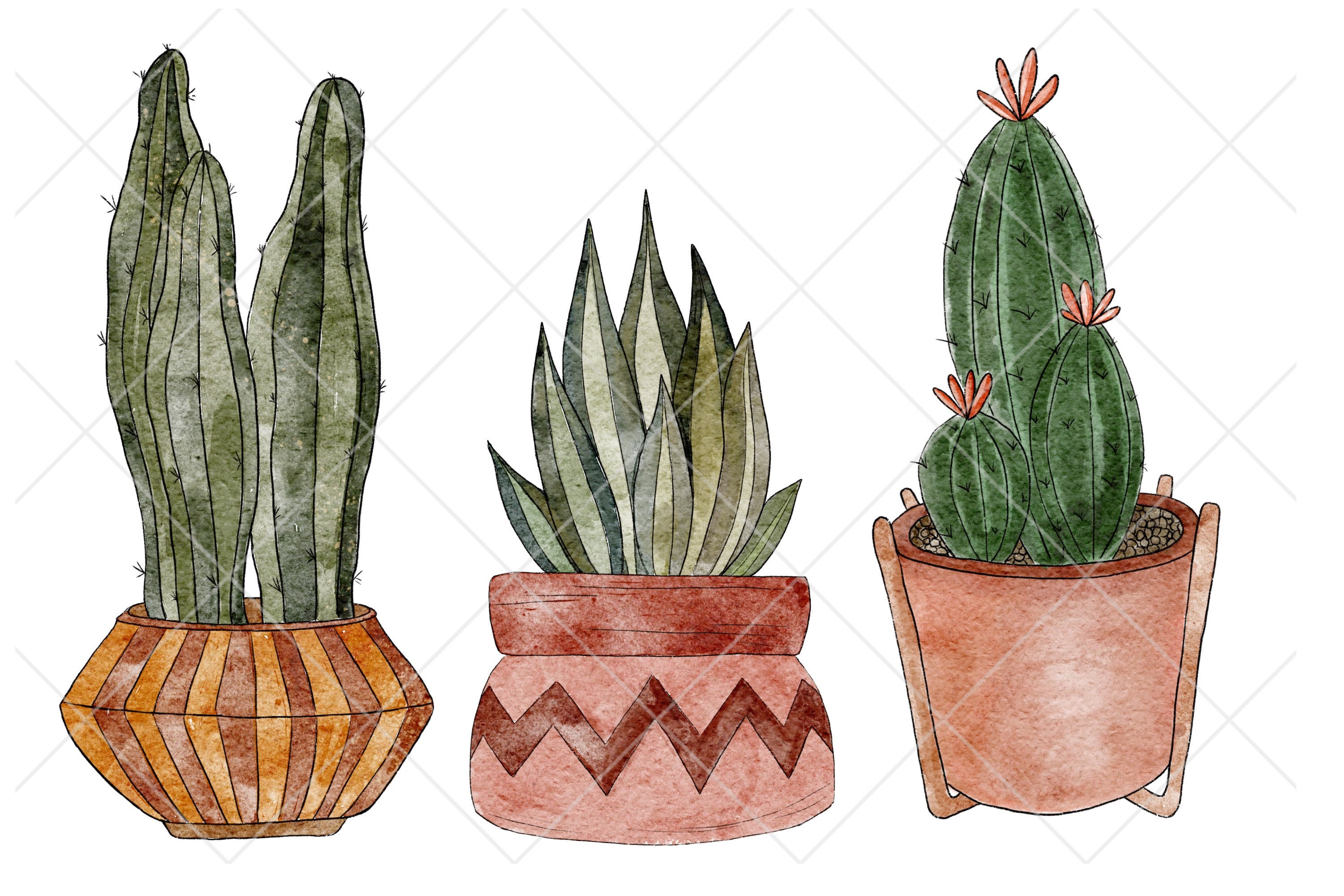 Watercolor Cactus Clipart, Potted Plants Clipart, House Plants Clipart ...