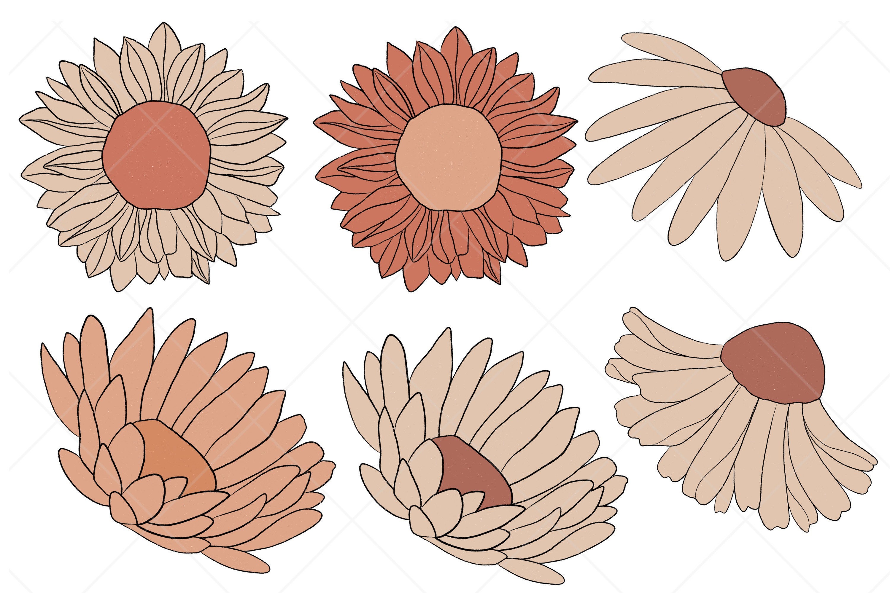 Wildflower Clipart Boho Flowers Clipart Coral Flower - Etsy