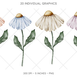 Watercolor Daisy Clipart, Floral Clipart, Daisies Clipart, Watercolor ...