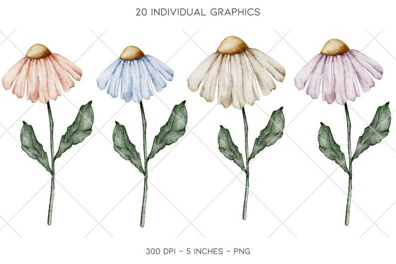 Watercolor Daisy Clipart, Floral Clipart, Daisies Clipart, Watercolor ...