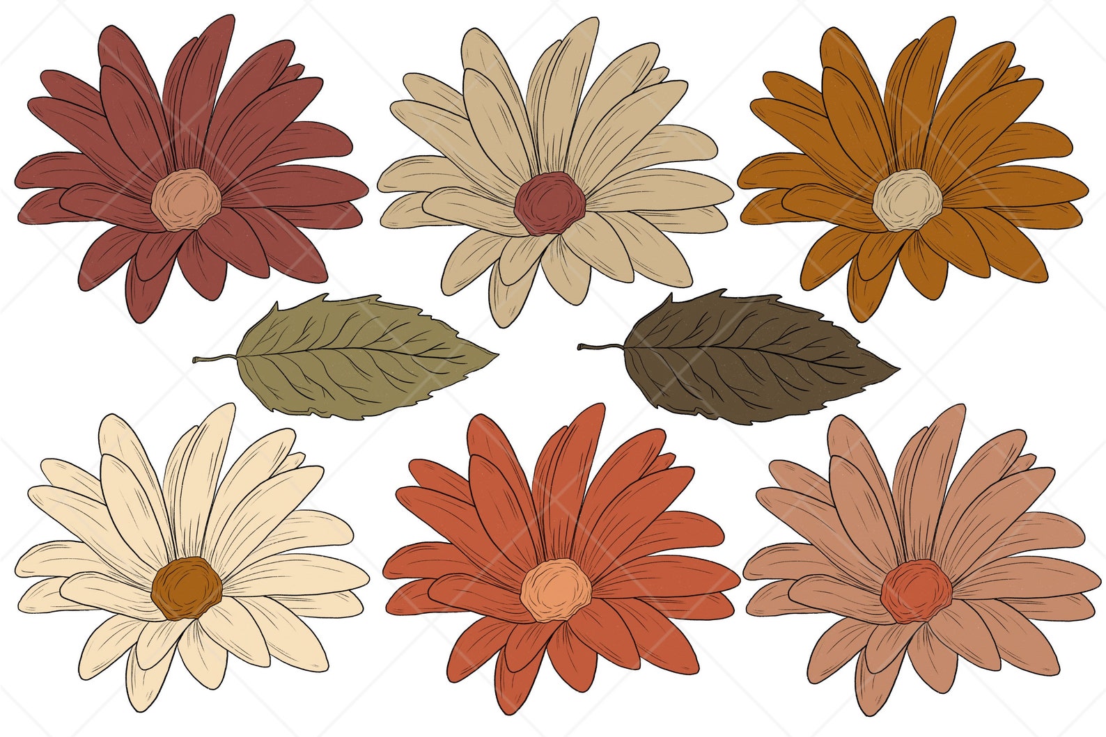 Boho Floral Clipart, Daisy Clipart, Boho Clipart, Flower Clipart ...