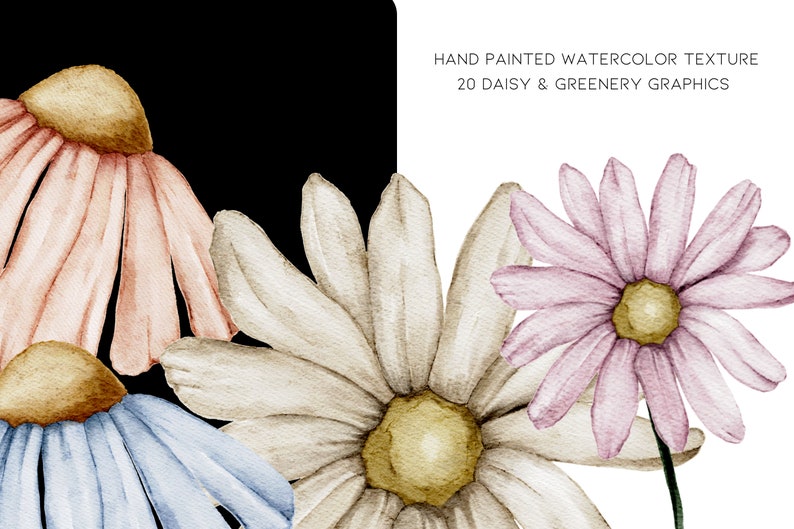 Watercolor Daisy Clipart, Floral Clipart, Daisies Clipart, Watercolor ...
