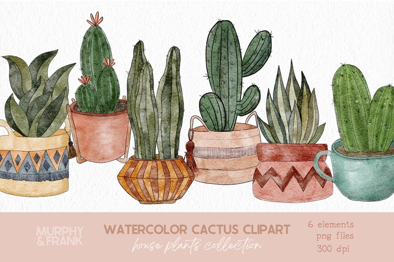 Watercolor Cactus Clipart, Potted Plants Clipart, House Plants Clipart ...