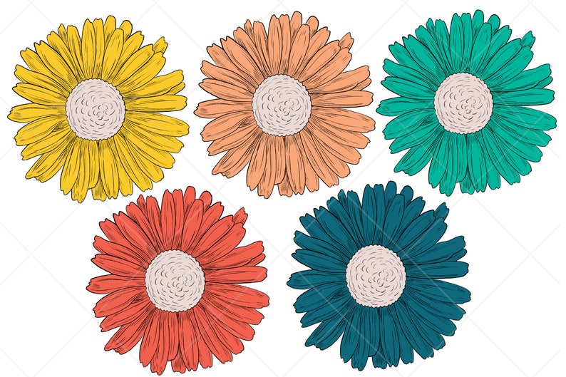 Tropical Clipart, Boho Floral Clipart, Daisy Clipart, Tropical Flowers ...