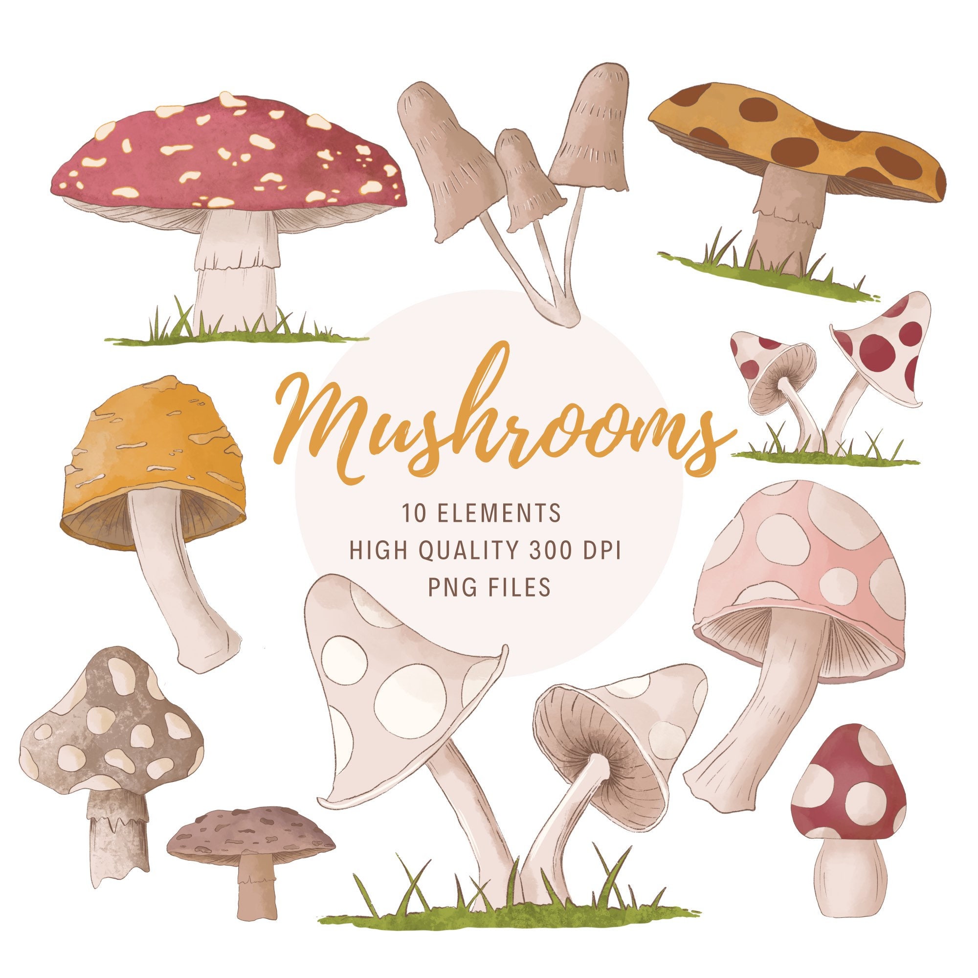 Watercolor Mushroom Clipart, Mushroom Png, Woodland Clipart, Mushrooms ...