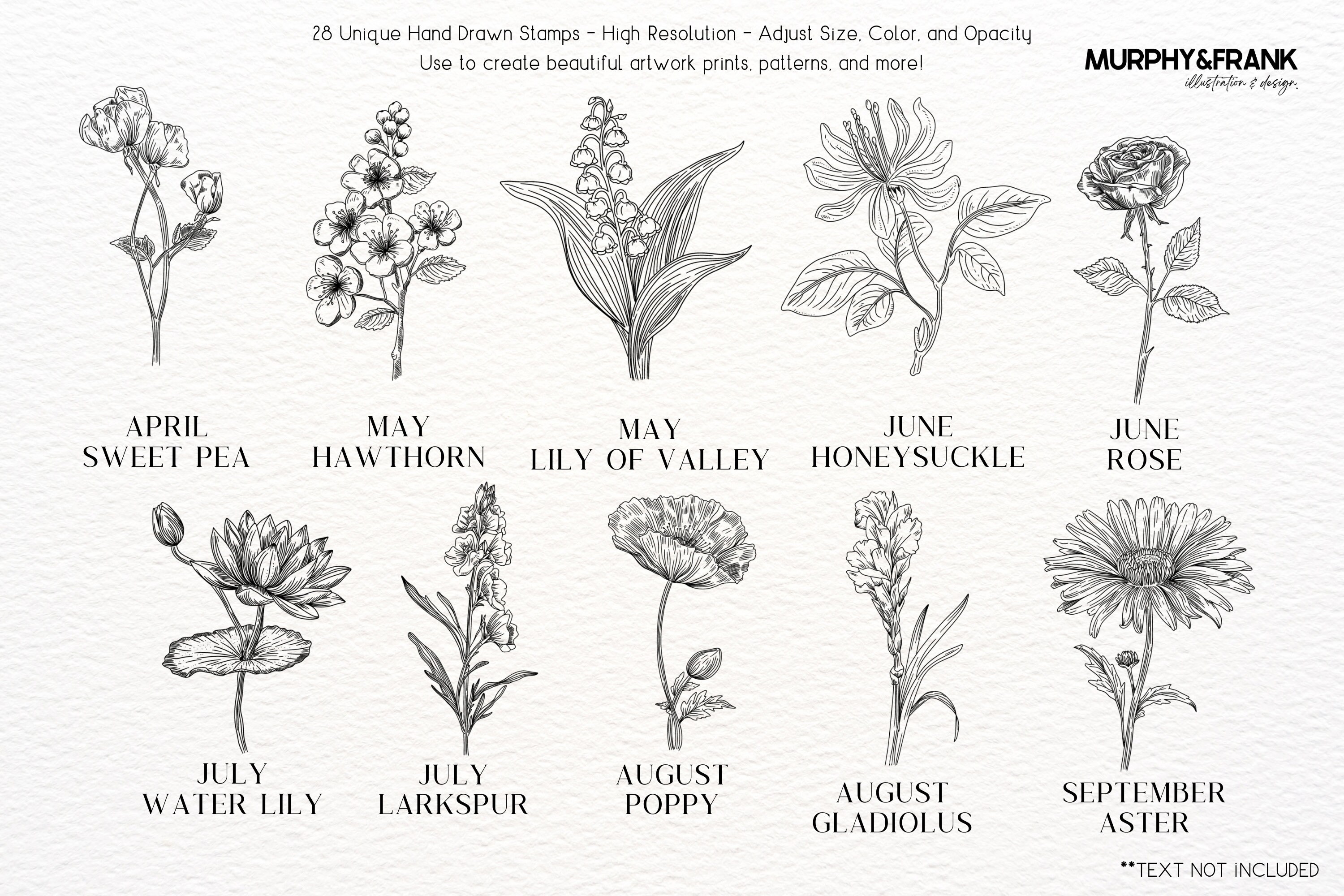 Birth Flower Procreate Stamps, Birth Month Flower Stamps, Procreate ...