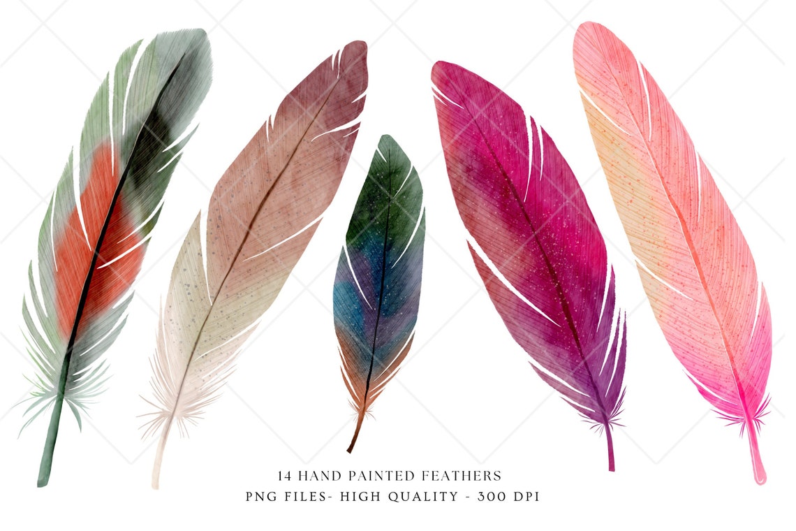 Watercolor Feather Clipart Boho Feathers Png Watercolor - Etsy